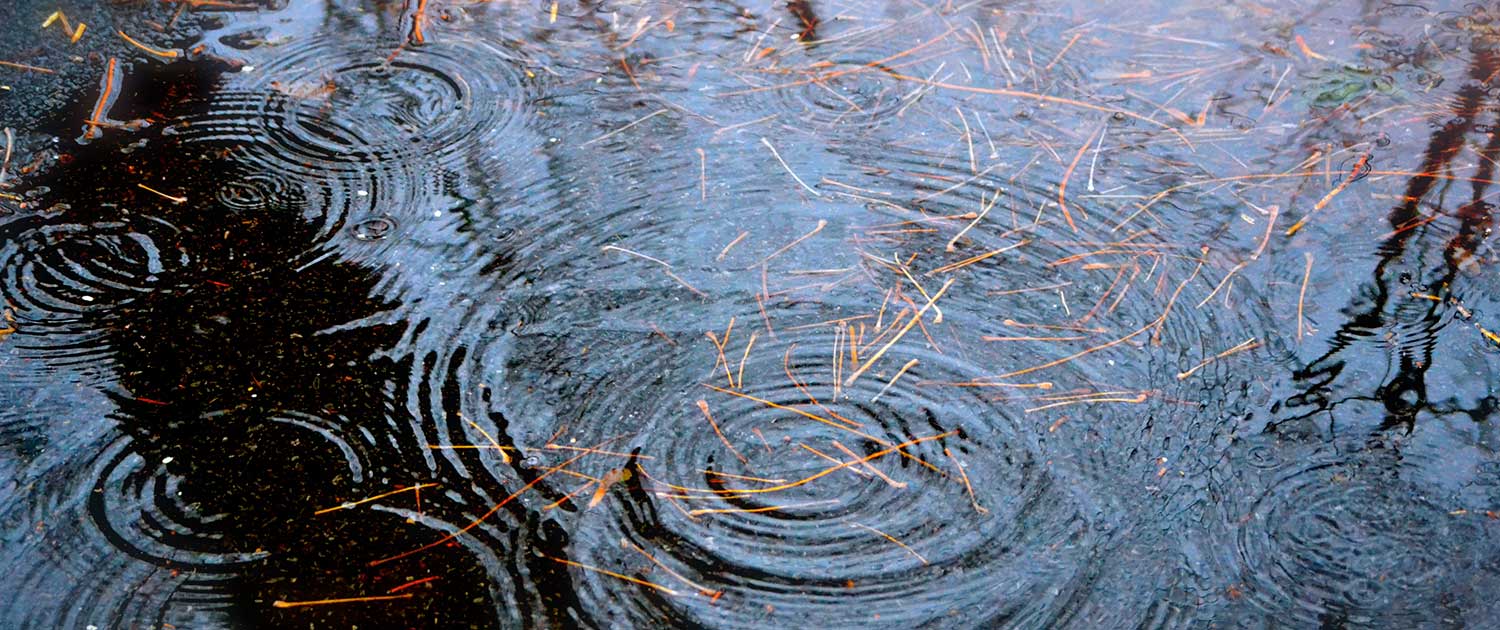 Stormwater Testing and Analysis | California Laboratory Services